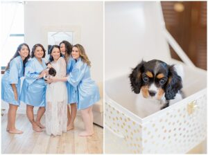 The Royal Crest Room | David + Jasmine | The Hendricks